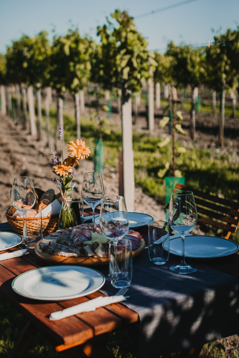 Heurigen/Weingut I Wienerwald