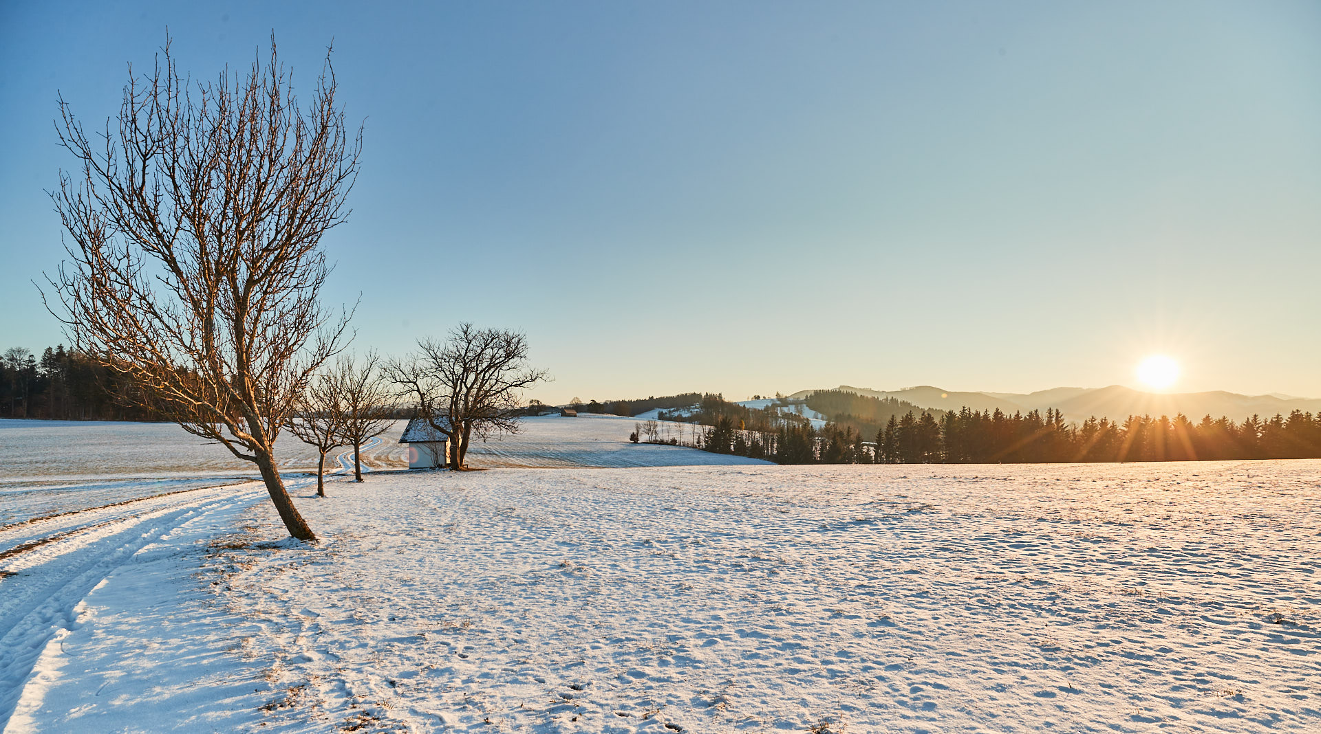 Winterwandern im Wienerwald | Wienerwald Tourismus